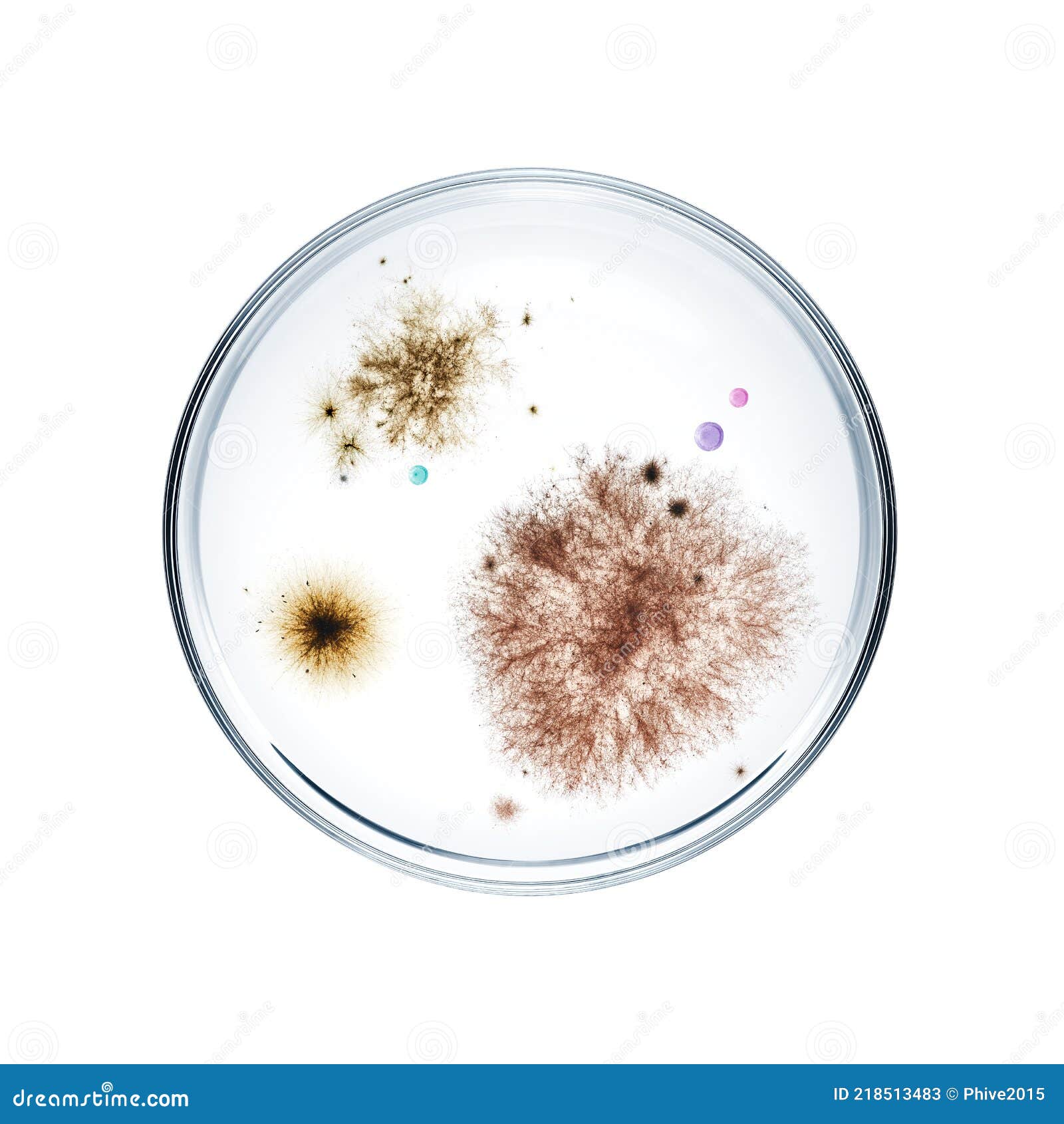 Bacterial Colonies Royalty-Free Stock Image | CartoonDealer.com #11391508
