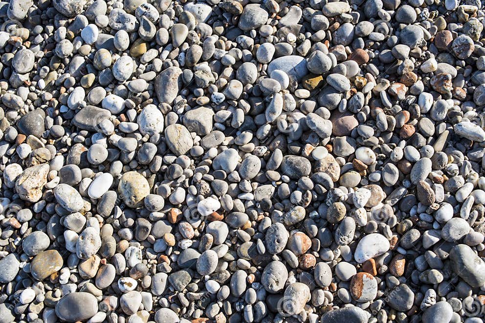 Different Types of Beach Stones Stock Image - Image of material ...