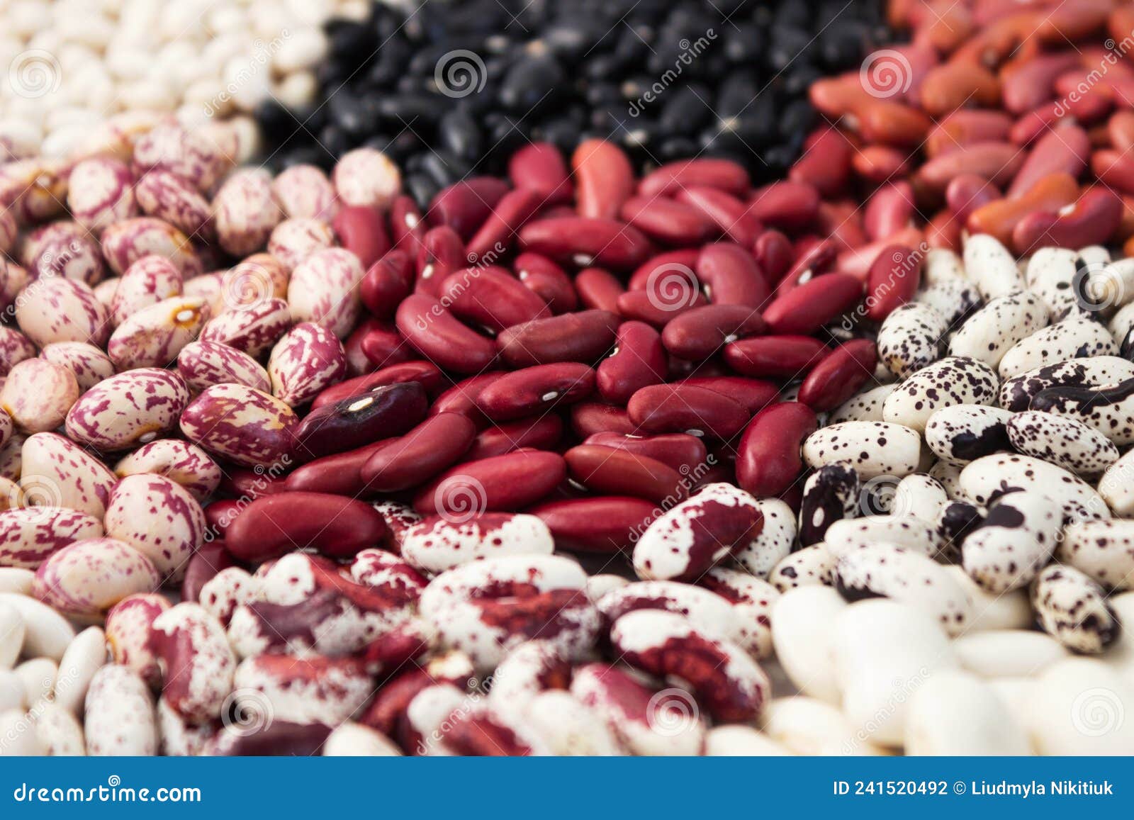 Different Types of Beans, Background. White, Red, Black and Colorful ...