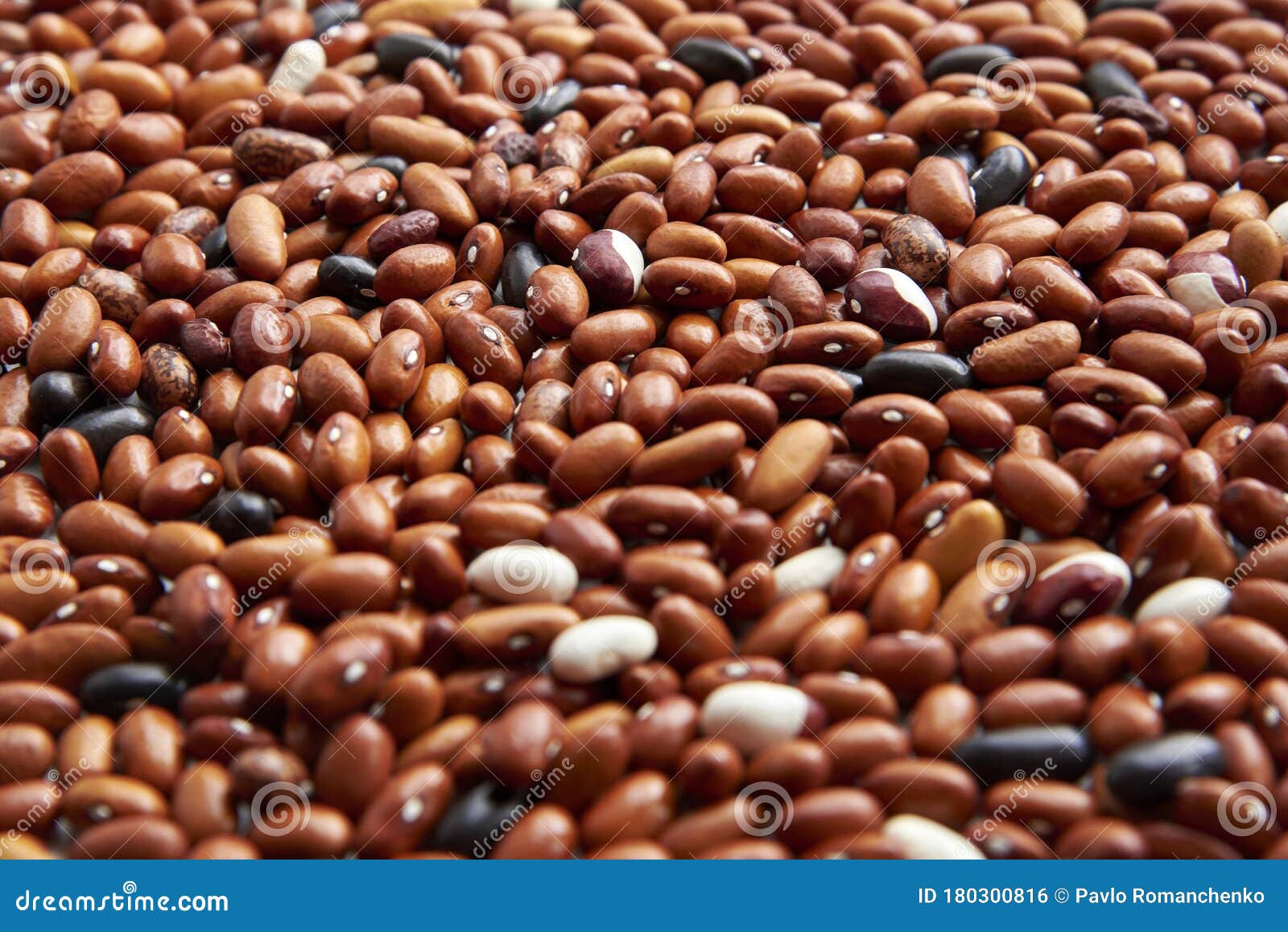 Different Types of Beans, Brown, Black, Spotted Beans Stock Photo ...