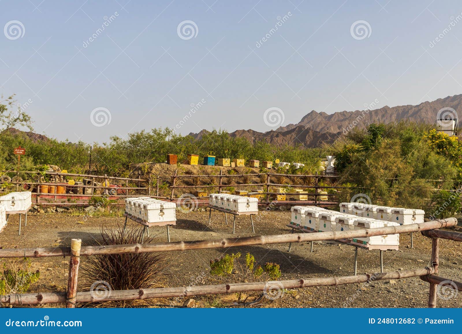 Different Types of Bee Hives in Display. Farm Stock Photo - Image of ...