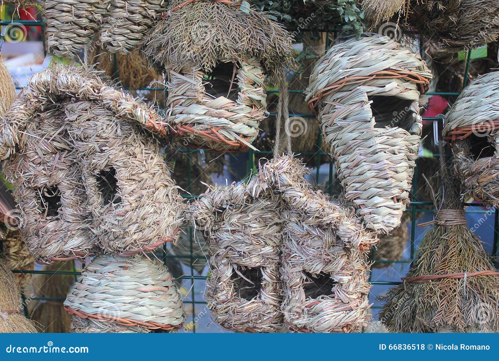 Different Types of Bird Nests Stock Photo - Image of animal, nests ... Different Types of Bird Nests Stock Photo - Image of animal, nests ...