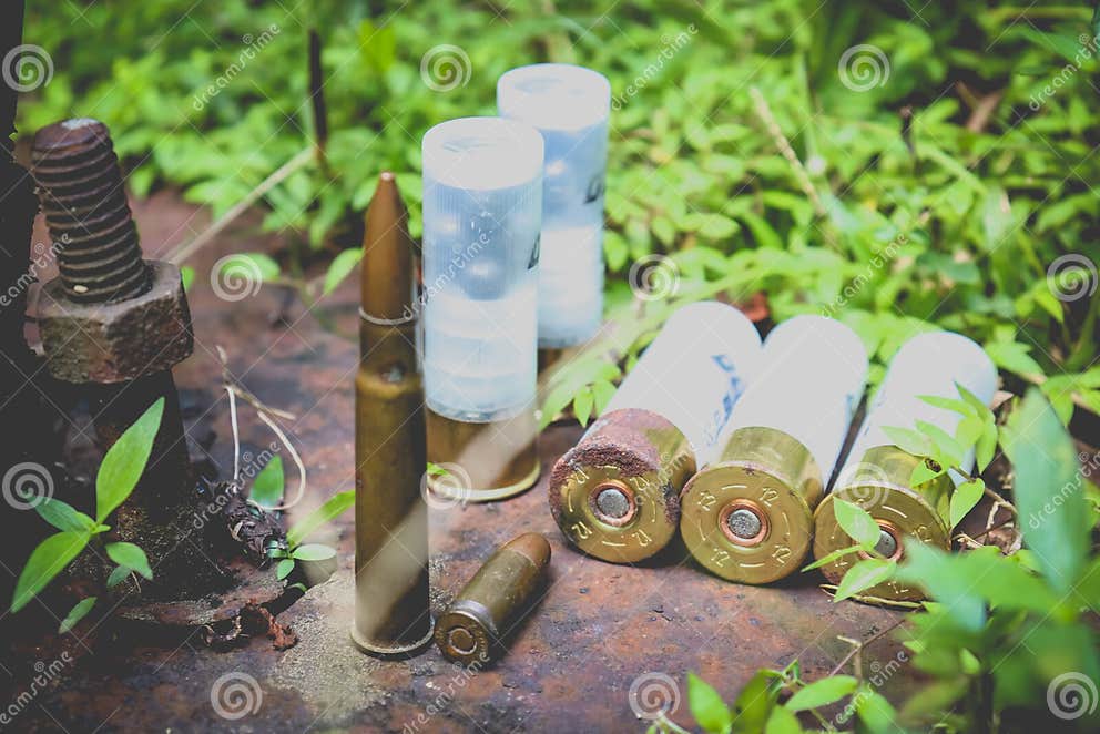 Different types of bullets stock image. Image of green - 265061321