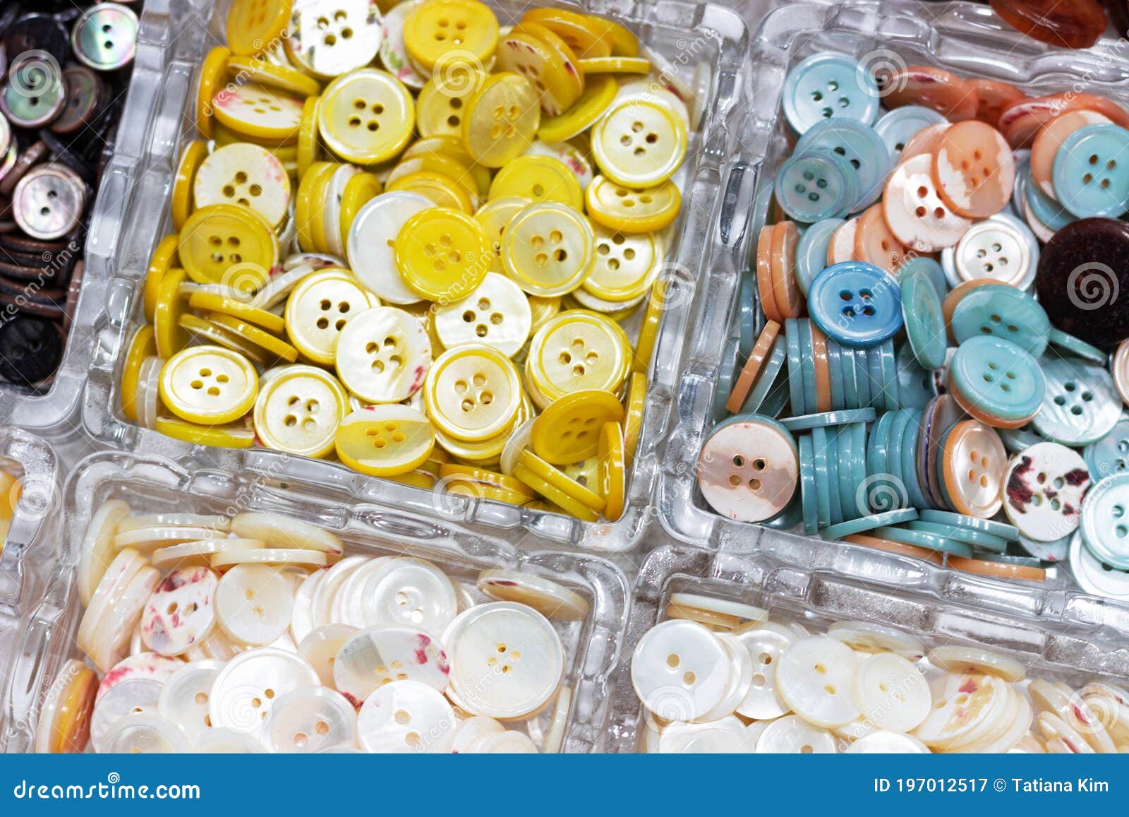 Different Types of Buttons in Plastic Containers, Top View Stock Image ...