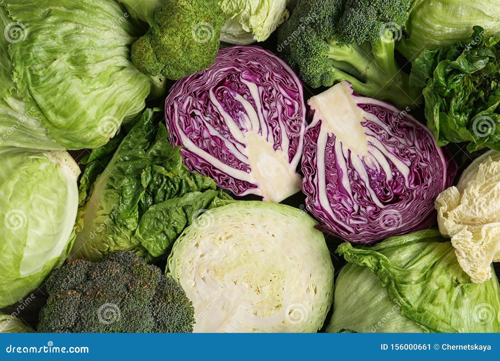 Cabbage Types Royalty-Free Stock Photography | CartoonDealer.com #38010197