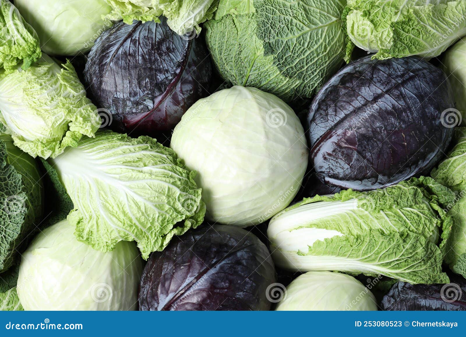 Different Types of Cabbage As Background, Top View Stock Image - Image ...