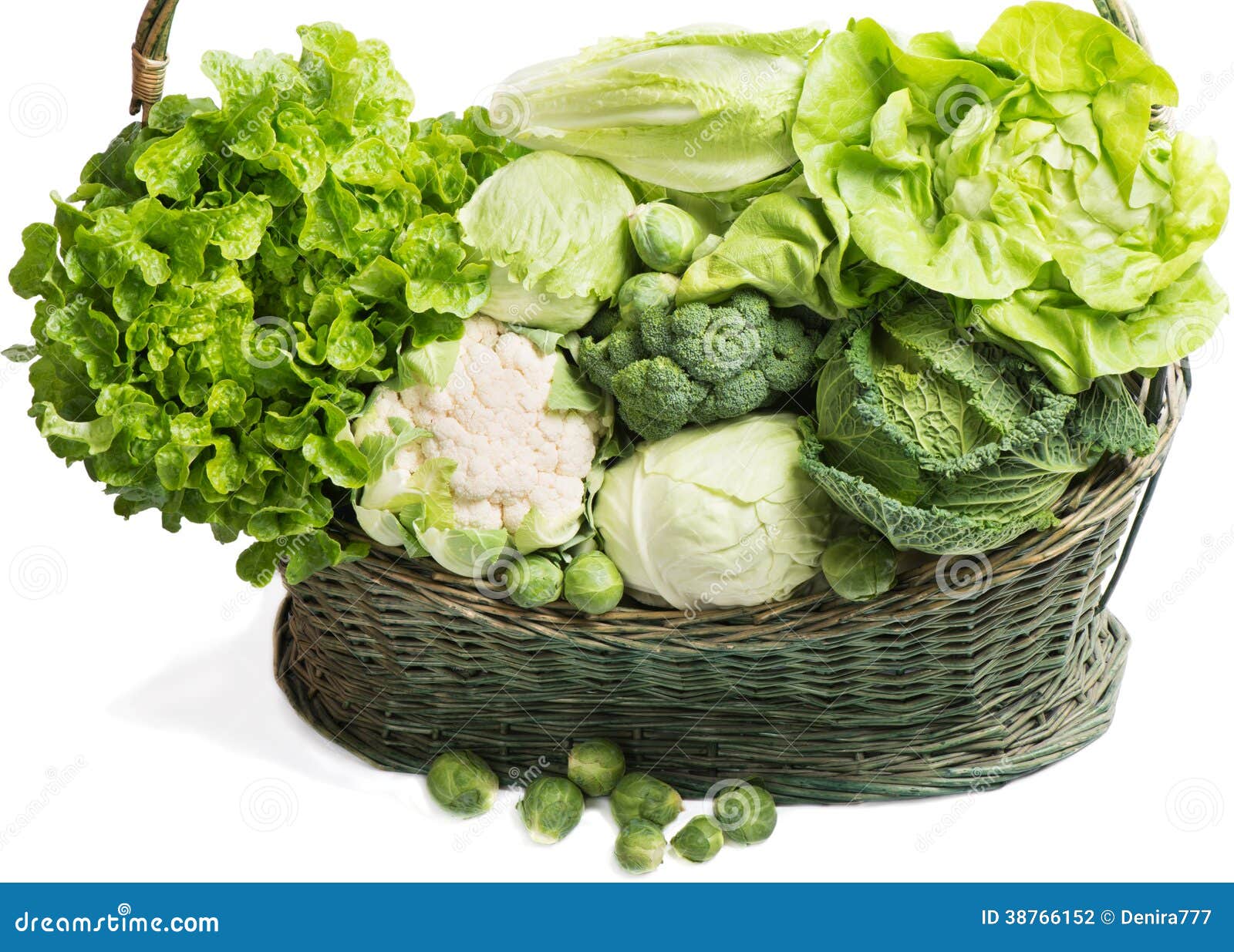 Different types of cabbage stock photo. Image of large - 38766152