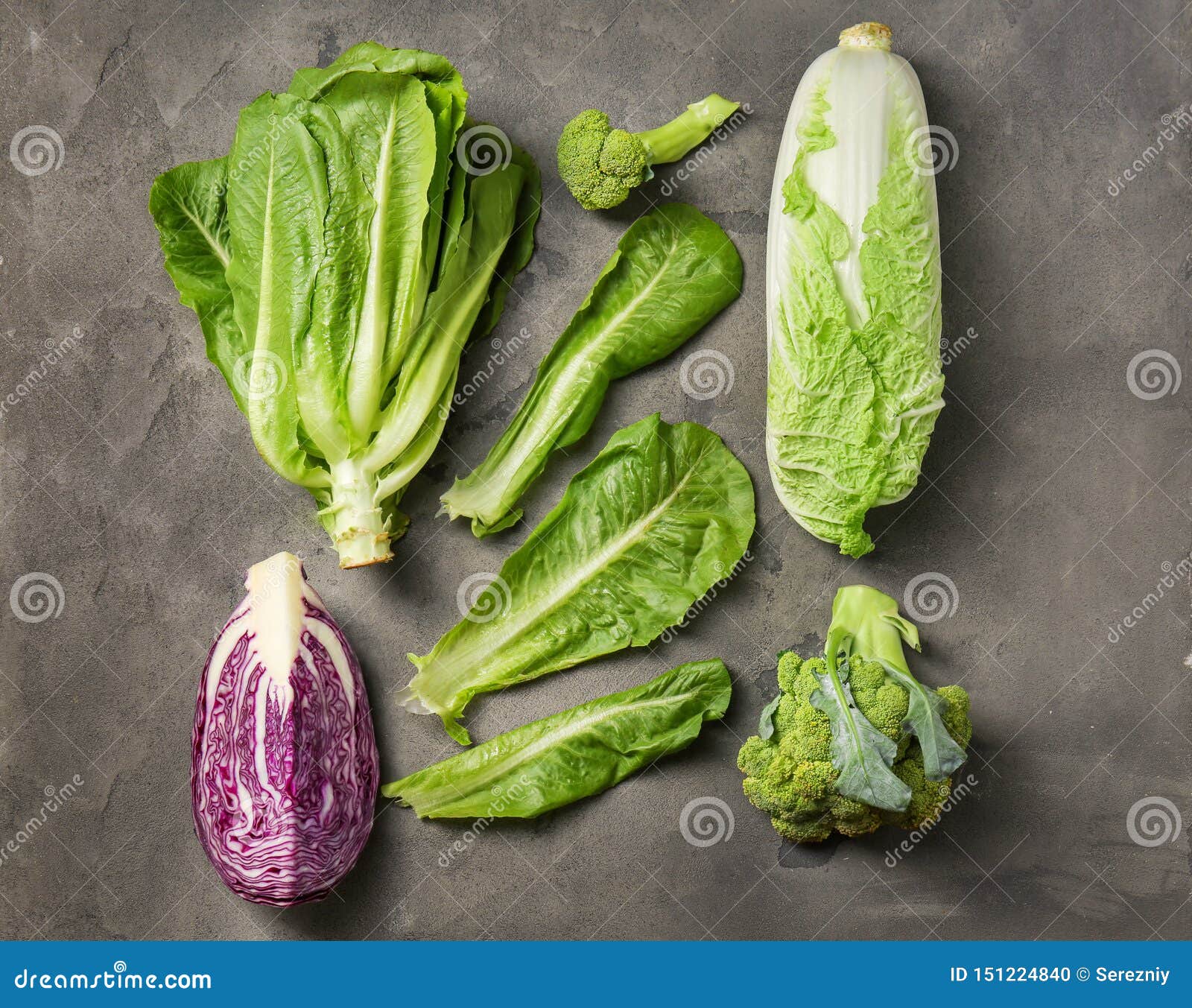 Different Types of Cabbage on Grey Background Stock Photo - Image of ...