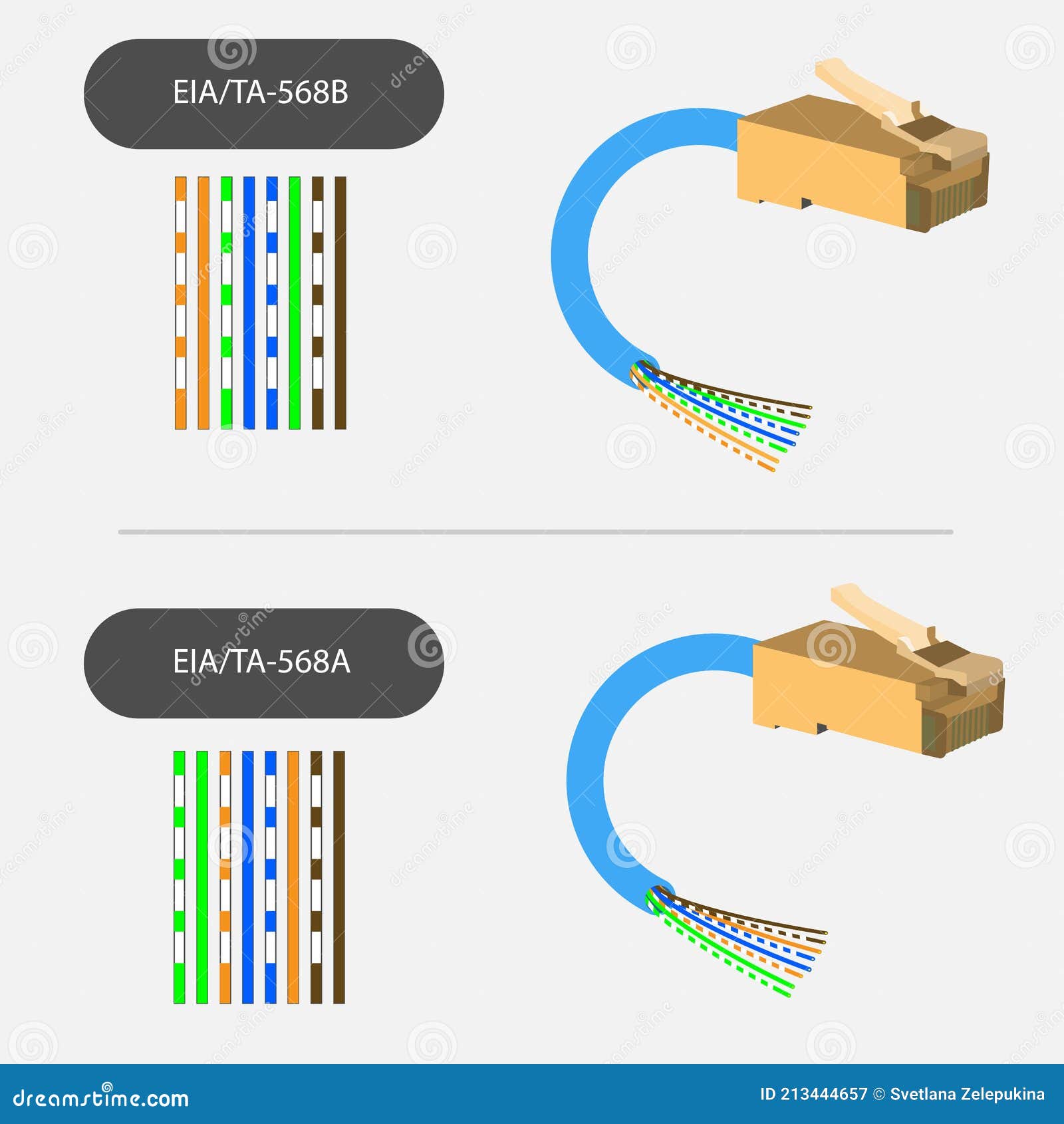 Different Types of Cable Crimds, Connector Rj-45 Stock Vector ...
