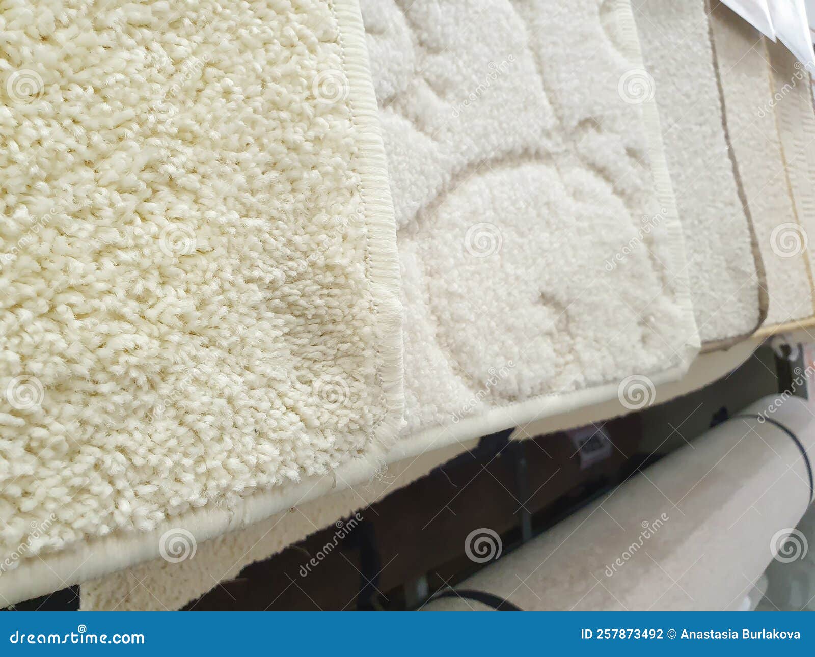 Different Types of Carpet on the Shop Stand. White Carpet Samples ...