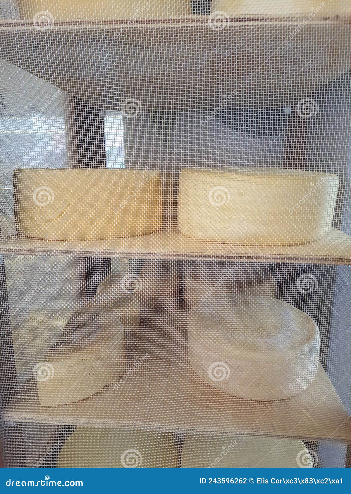 Different Types of Cheese on Display in a Shop with Insect Protection ...
