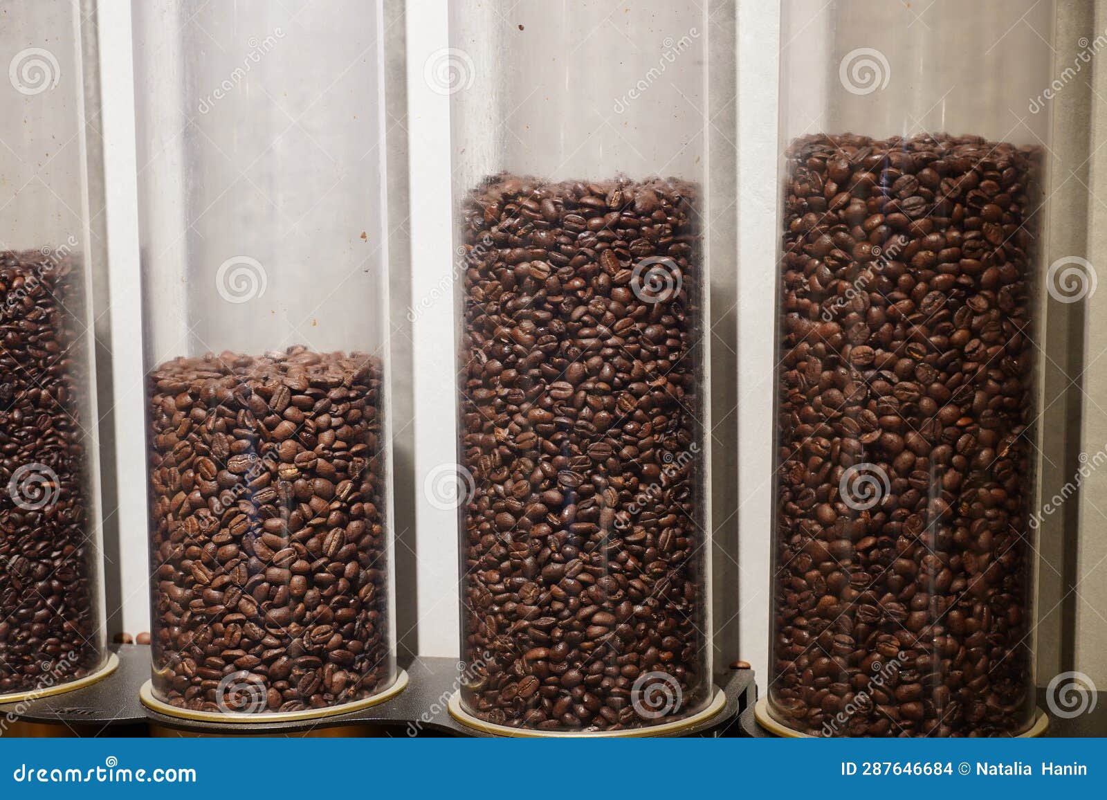 Different Types of Coffee Beans(arabica, Robusta) in Round Containers ...