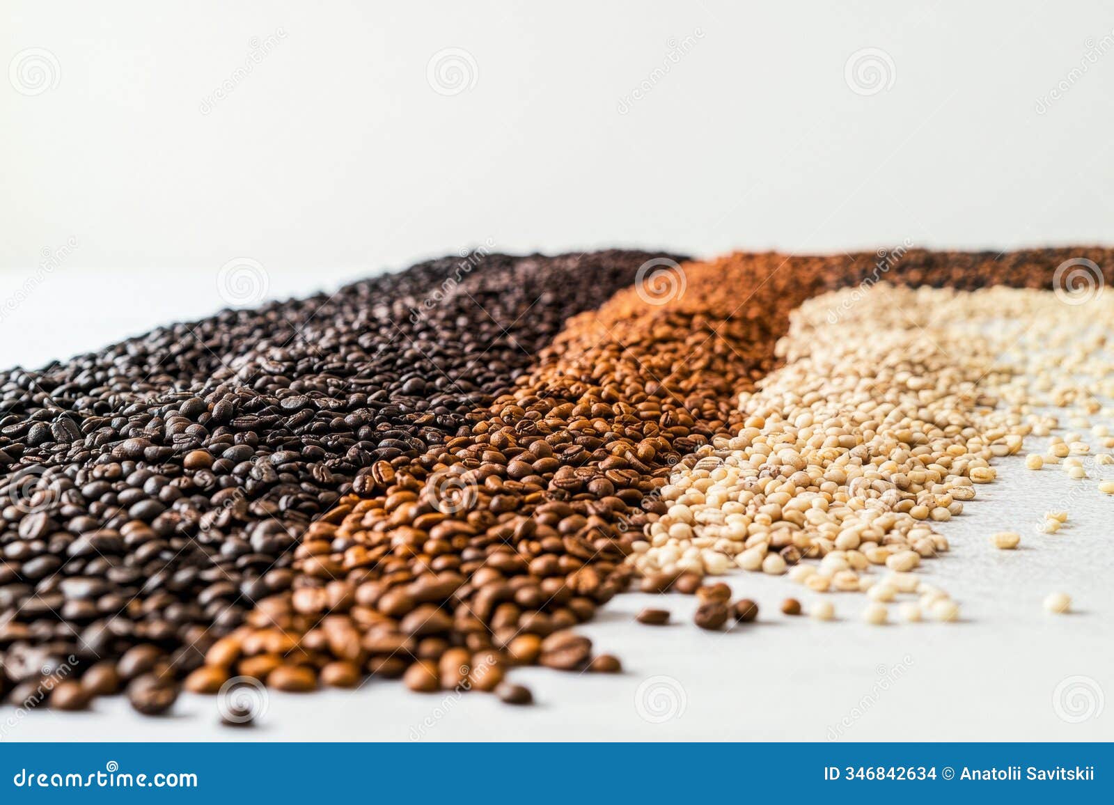 Different Types of Coffee Beans are Spread Out on a Plain White Surface ...