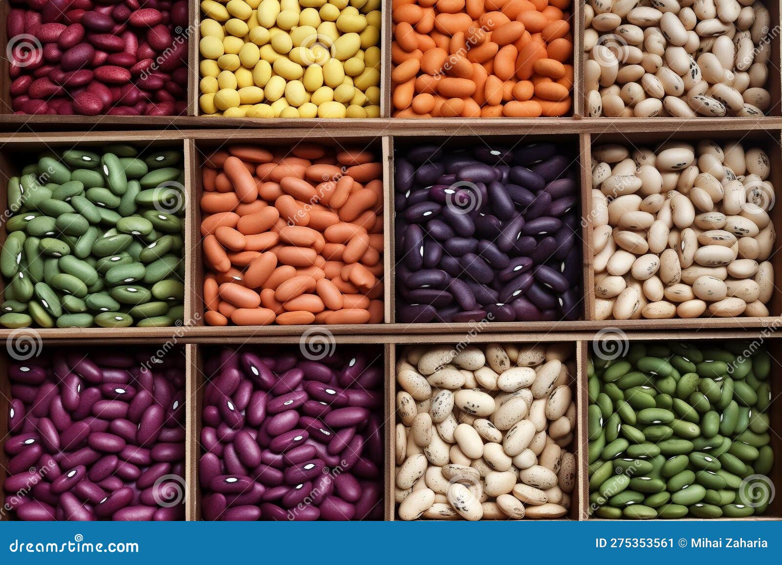 Different Types of Colorful Beans Arranged in Boxes. Conceptual ...