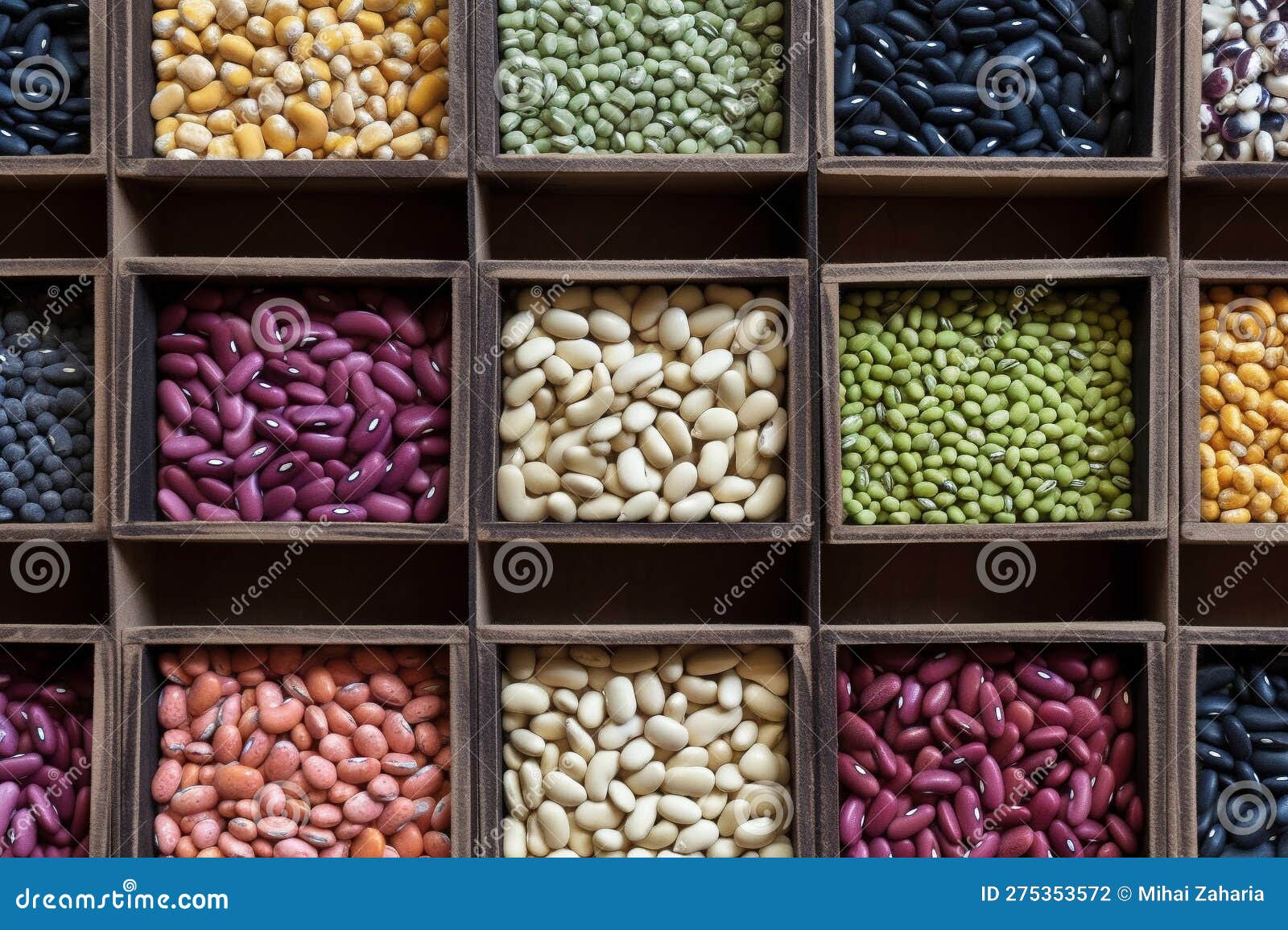 Different Types of Colorful Beans Arranged in Boxes. Conceptual ...