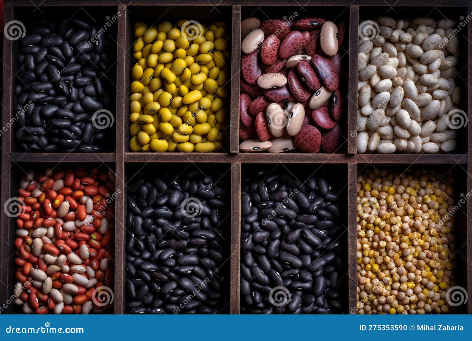 Different Types of Colorful Beans Arranged in Boxes. Conceptual ...