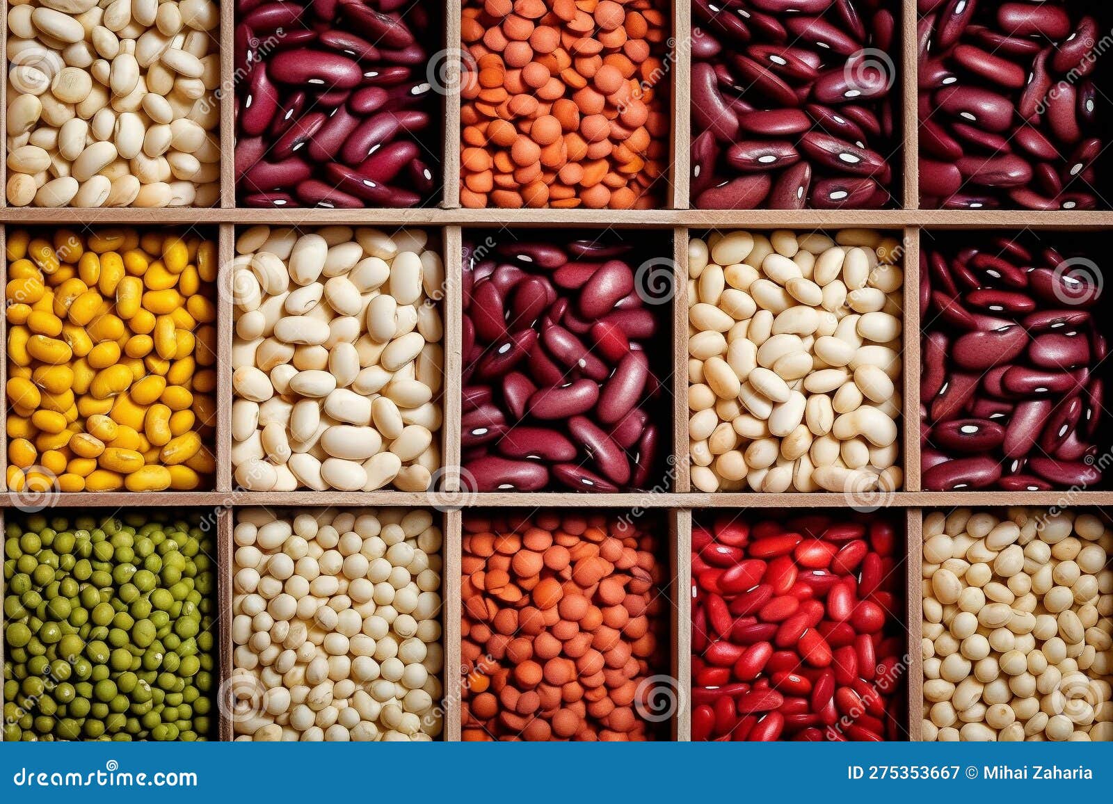 Different Types of Colorful Beans Arranged in Boxes. Conceptual ...