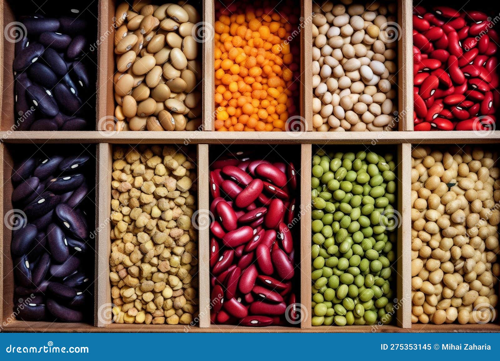 Different Types of Colorful Beans Arranged in Boxes. Conceptual ...
