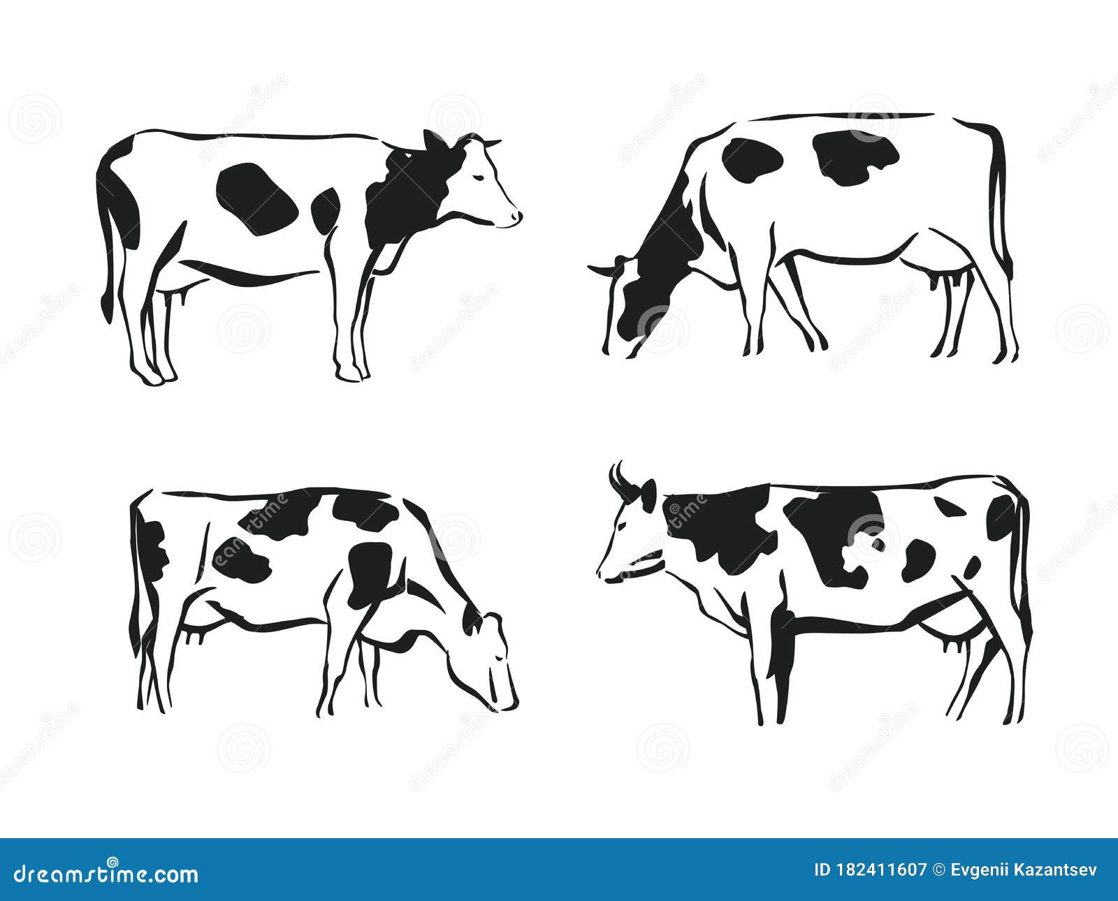Different Types Of Cows. Food Label Blanks Cartoon Vector ...