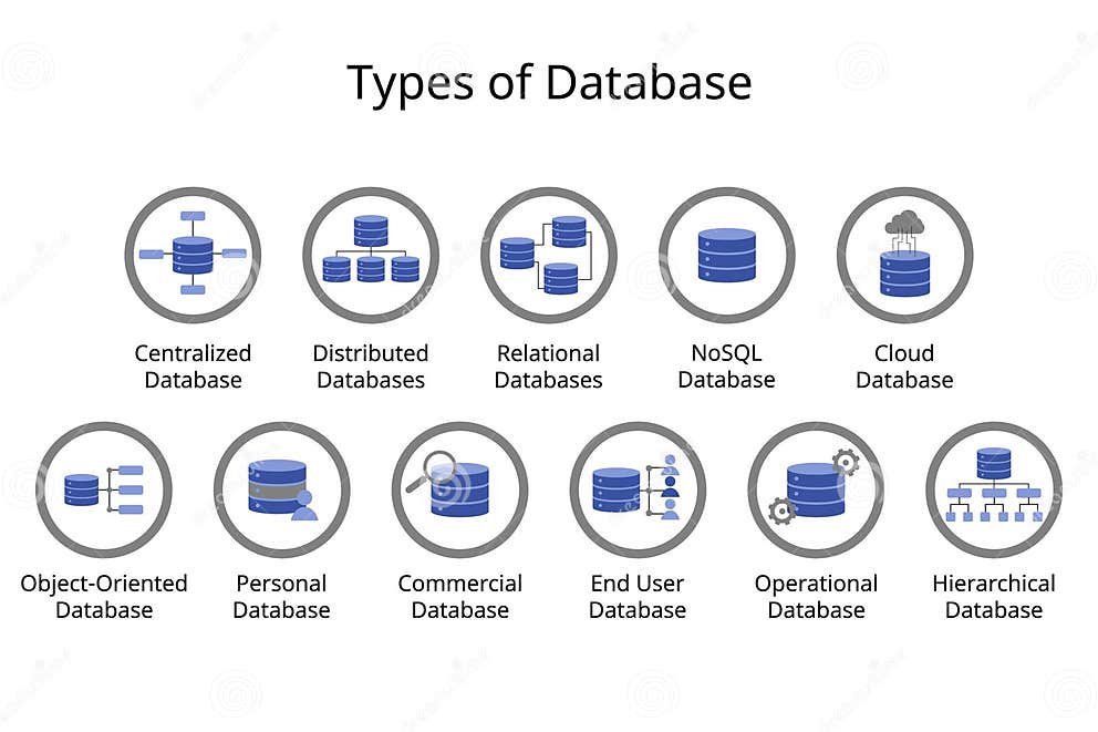 Different Types of Databases Icon Stock Vector - Illustration of difference, database: 302501428