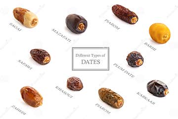 Different Types of Dates Single with Name Stock Photo - Image of ...