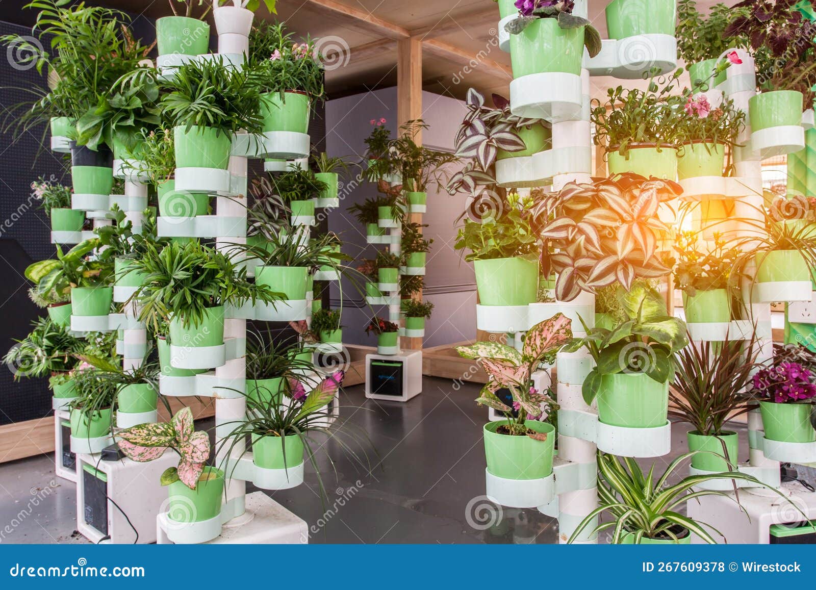 Different Types of Decorative Plants Planted in Big Stacked Planters ...