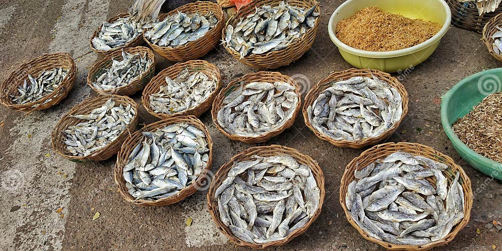 Different Types of Dry Fish Stock Photo - Image of health, pollute ...