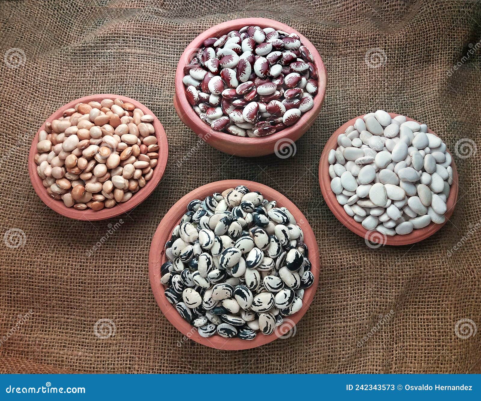 Different Types of Fava Beans Stock Image - Image of countryn ...