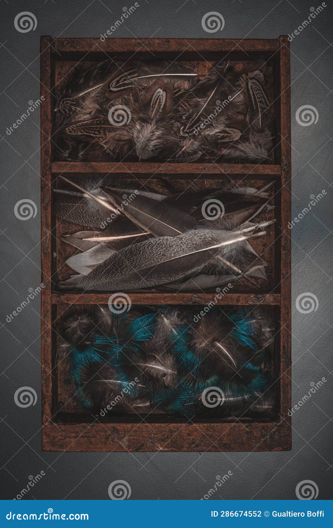 Different Types of Feathers in Wooden Box Stock Photo - Image of cover ...