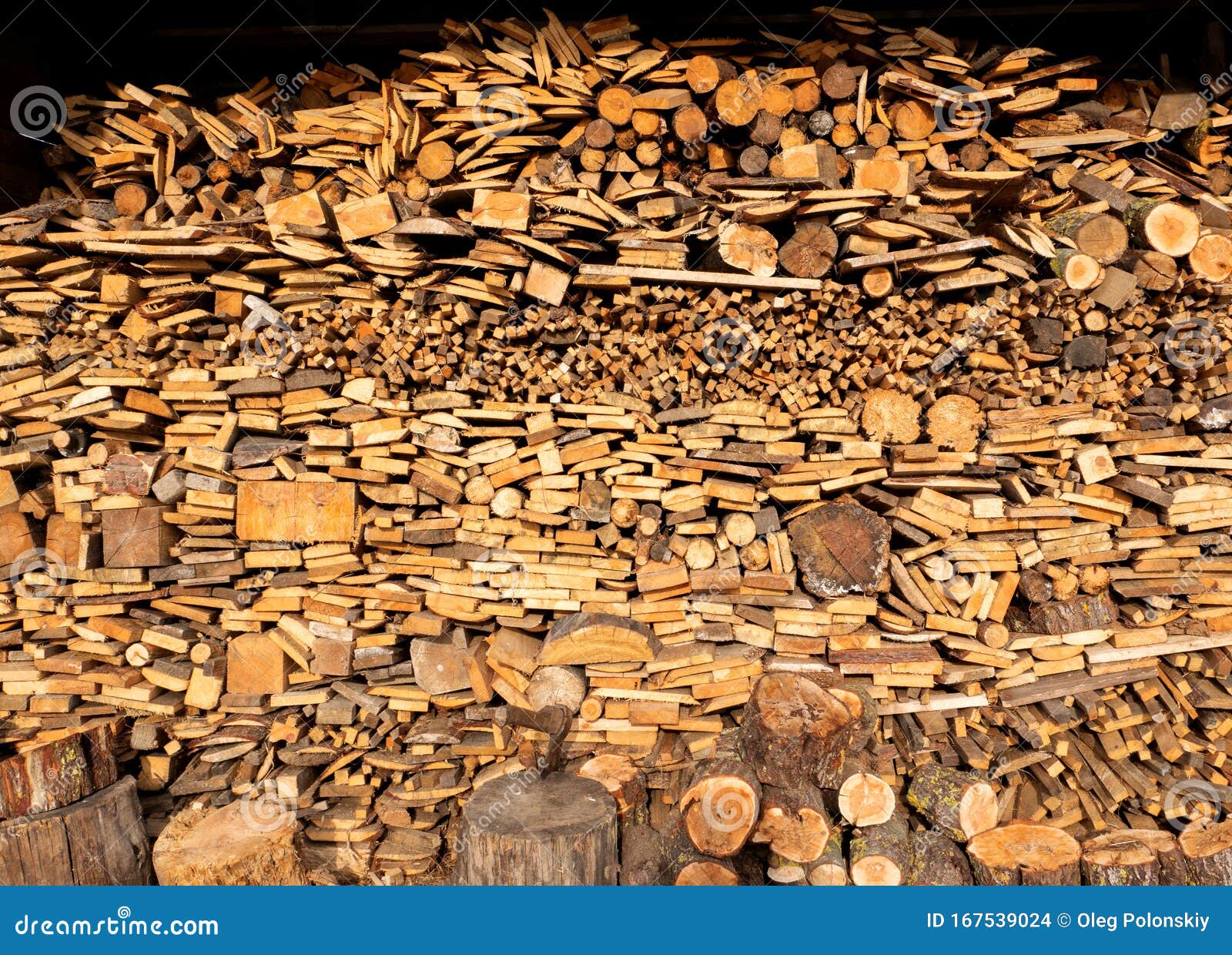 Different Types of Firewood Decoratively Laid. Stock Photo - Image of ...