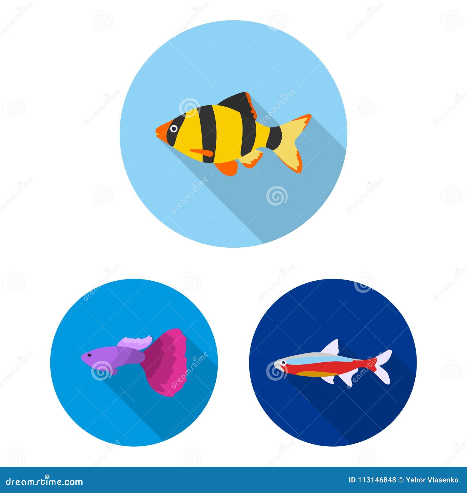 Different Types of Fish Flat Icons in Set Collection for Design. Marine ...