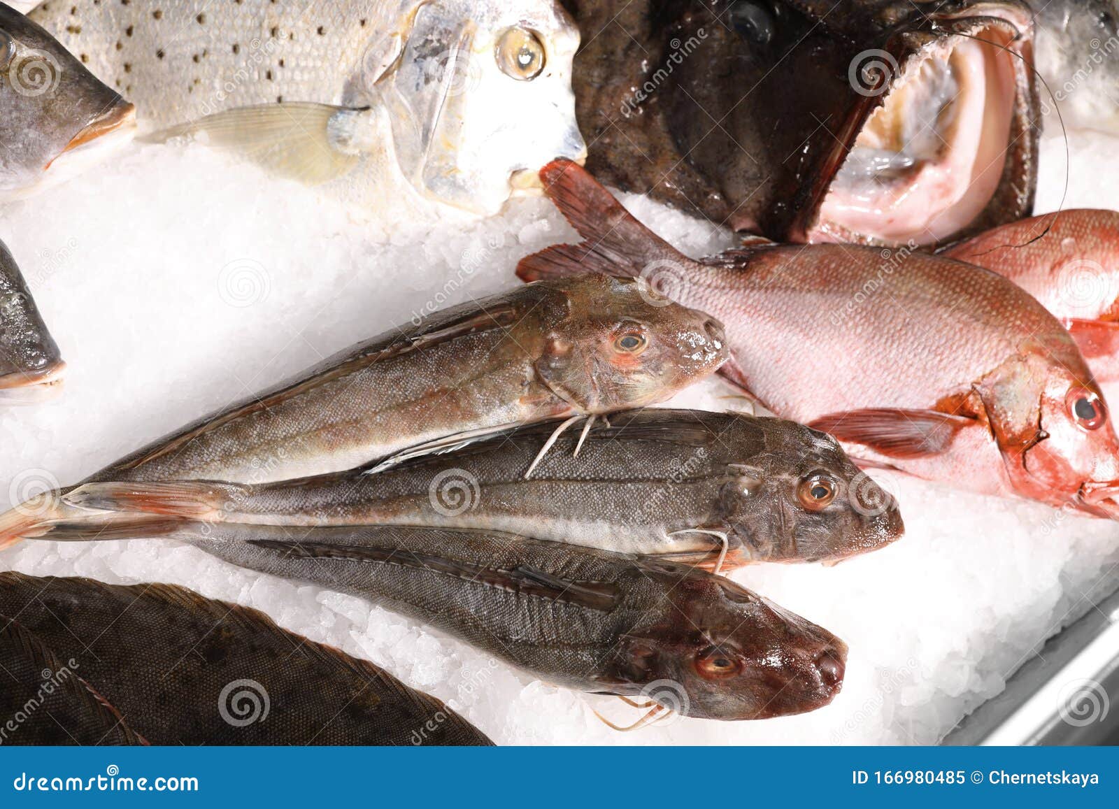 Different Types of Fish on Ice in Supermarket Stock Image - Image of ...