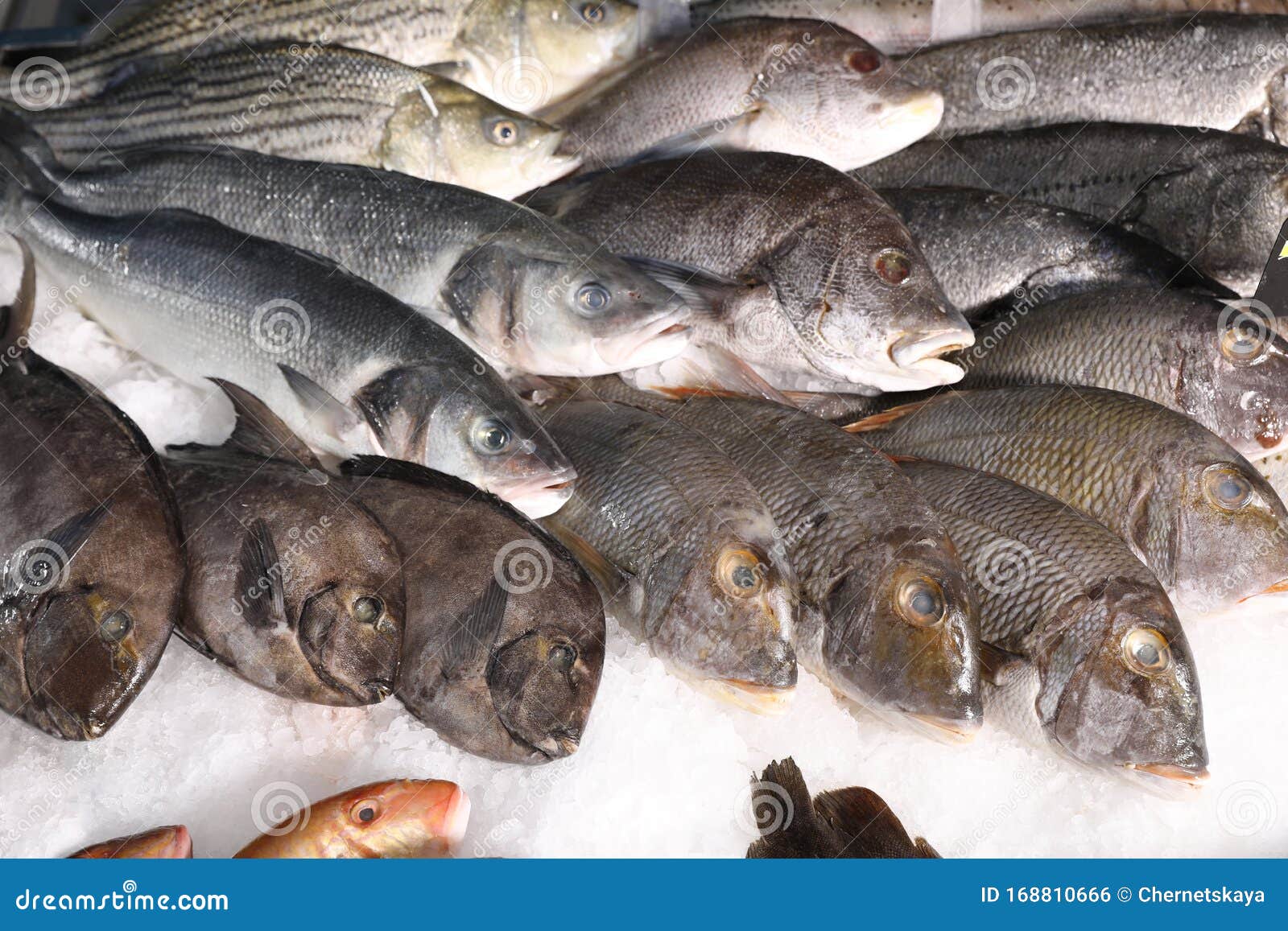 Different Types of Fish on Ice in Supermarket Stock Photo - Image of ...