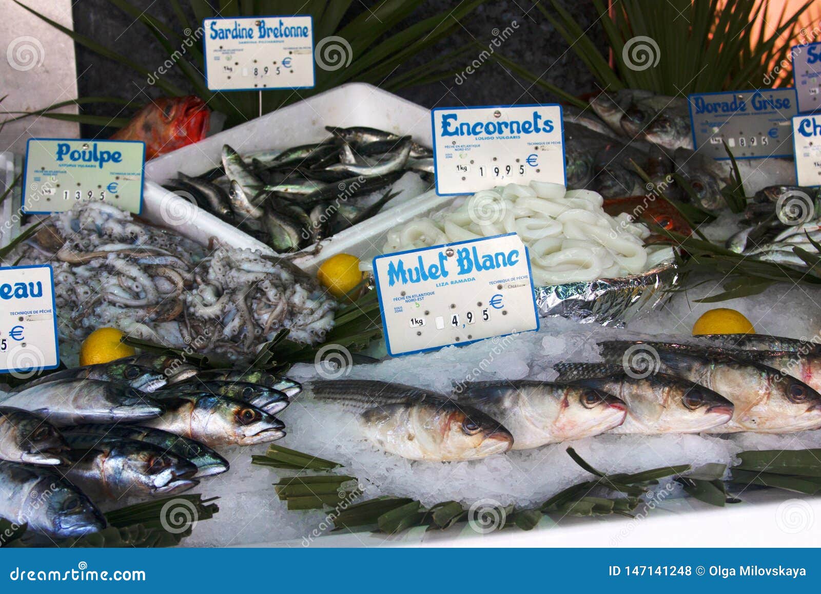 Different Types of Fish at the Fish Market in France Stock Photo ...