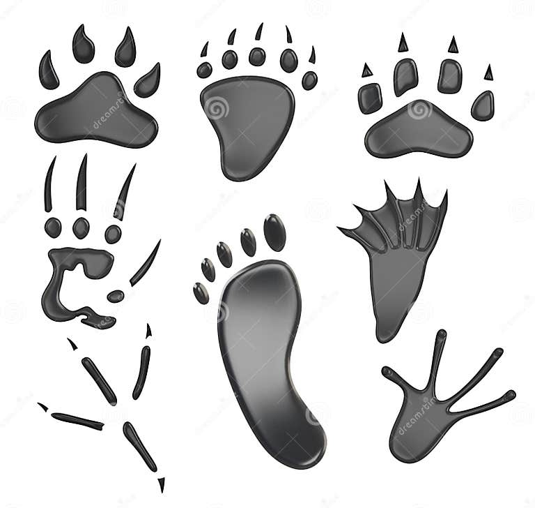 Different Types of Footprints Isolated on White Background. 3d R Stock ...
