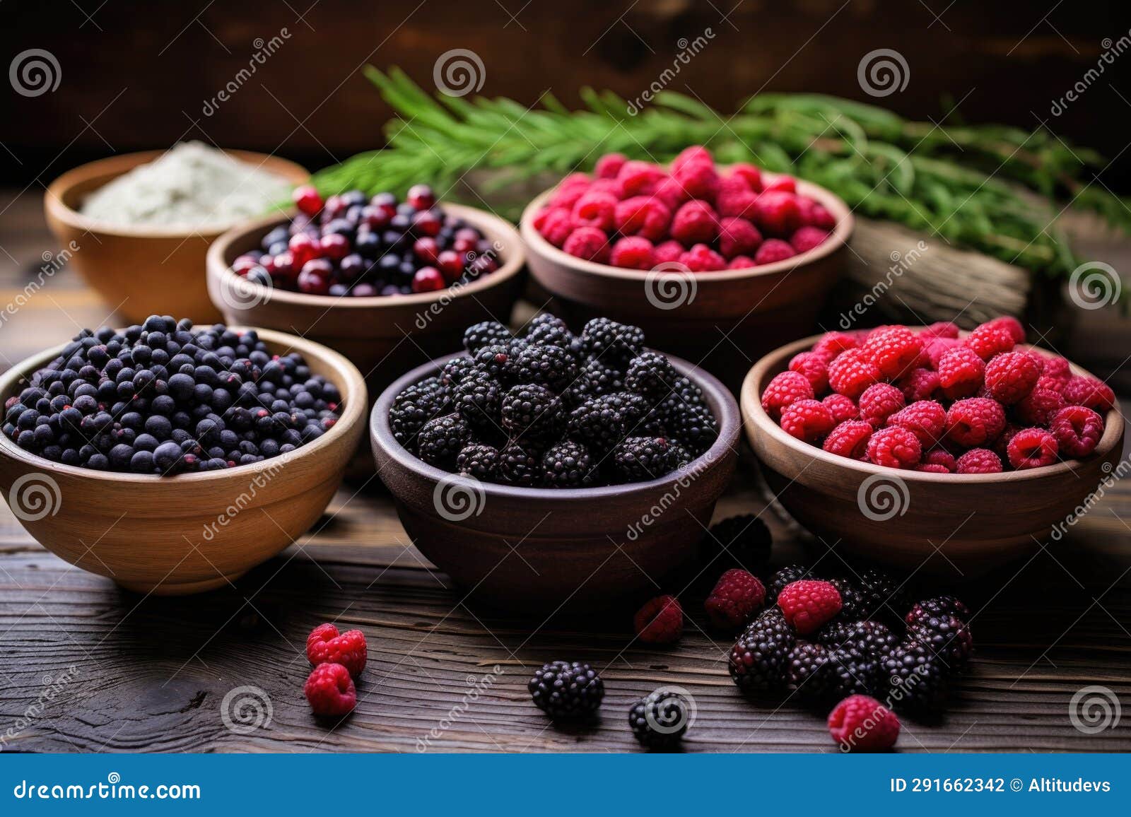 Different Types of Forest Berries in Bowls Stock Photo - Image of ...