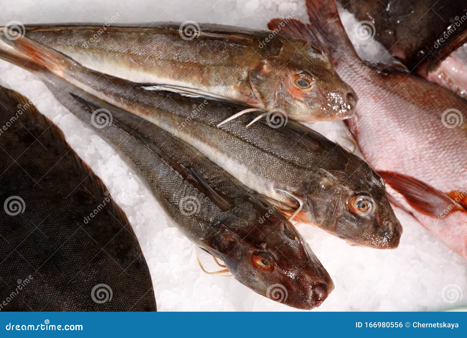 Different Types of Fish on Ice in Supermarket Stock Photo - Image of ...