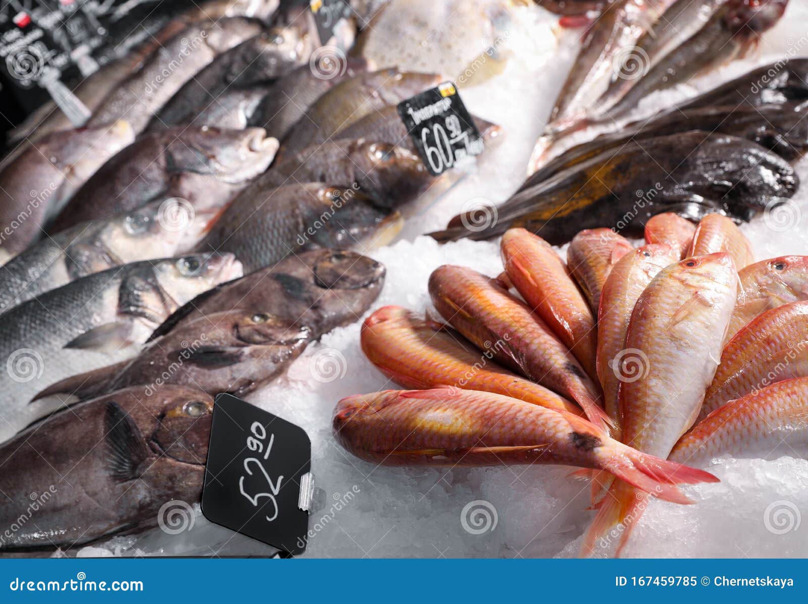 Different Types of Fresh Fish on Ice Stock Image - Image of product ...