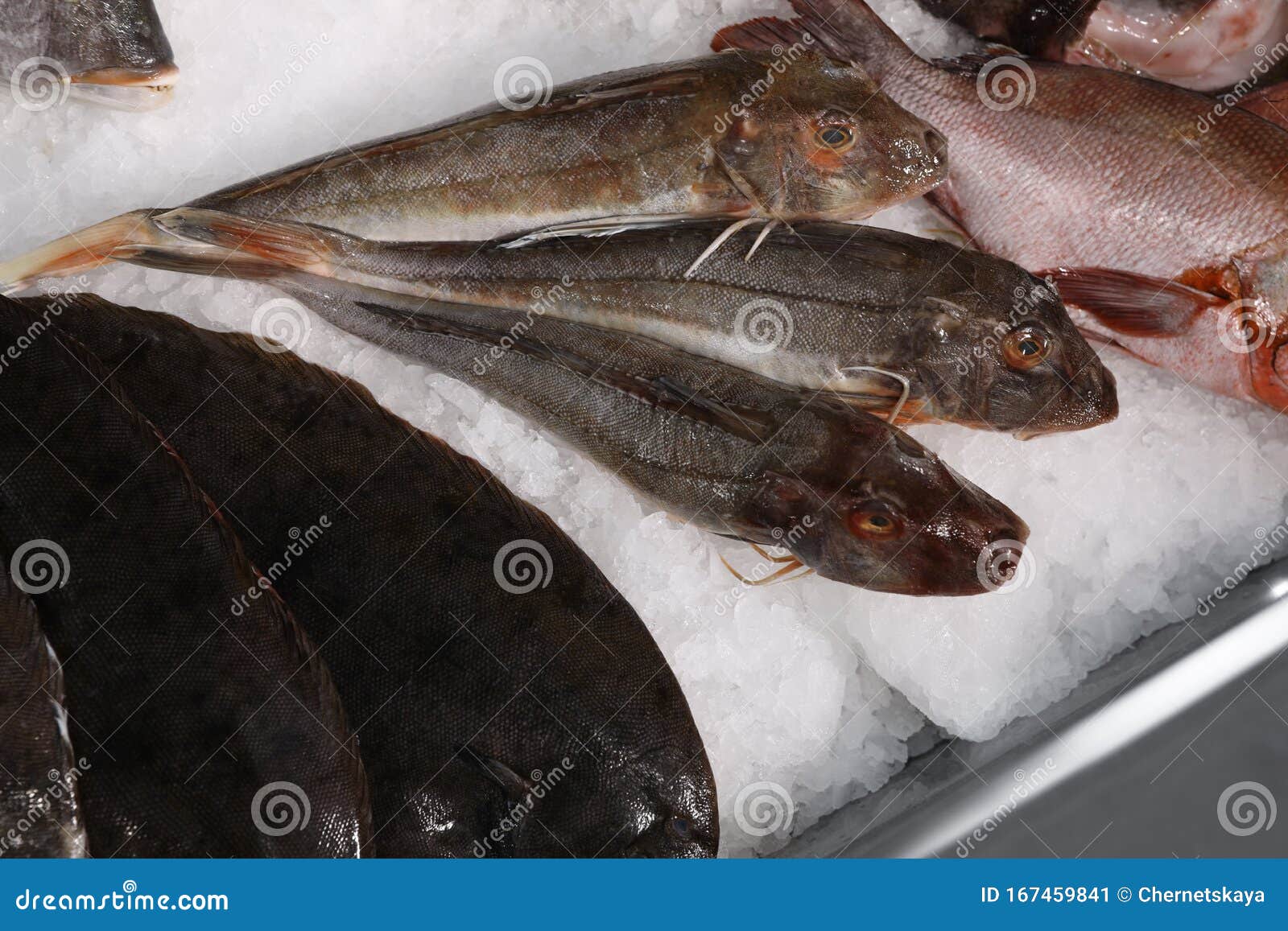 Different Types of Fresh Fish on Ice Stock Image - Image of seafood ...