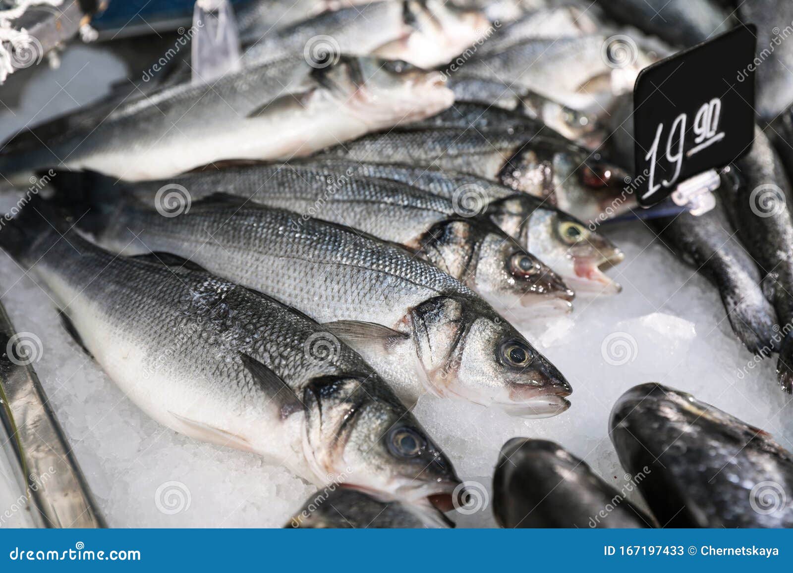 Different Types of Fresh Fish on Ice in Supermarket Stock Image - Image ...