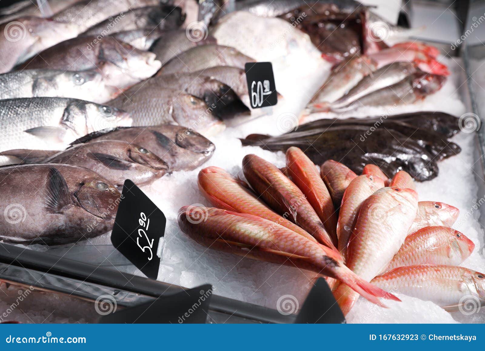 Different Types of Fresh Fish on Ice Stock Image - Image of industry ...