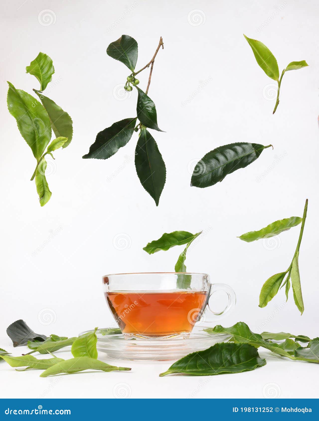 Different Types of Fresh Raw Green Tea Leaf Stock Photo - Image of ...