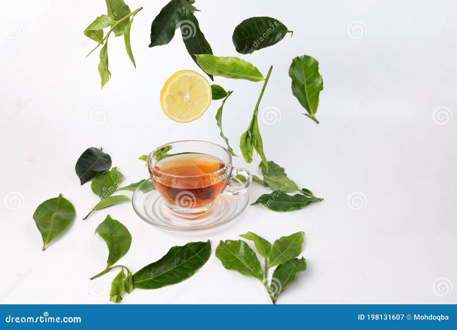 Different Types of Fresh Raw Green Tea Leaf Stock Image - Image of ...