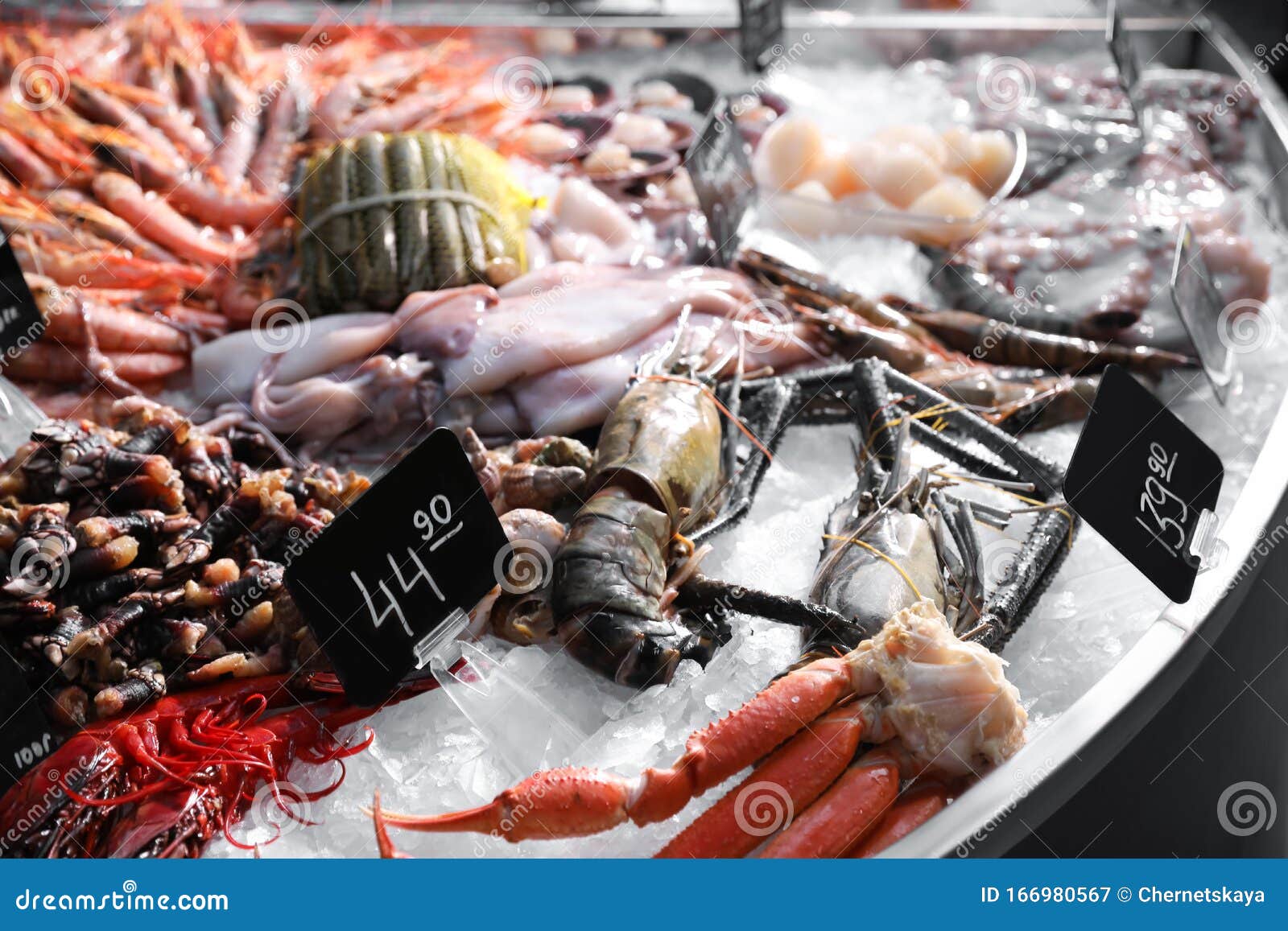 Types Of Barnacles Or Cirripedia Live On Rotten Wood On The Edge Of The ...