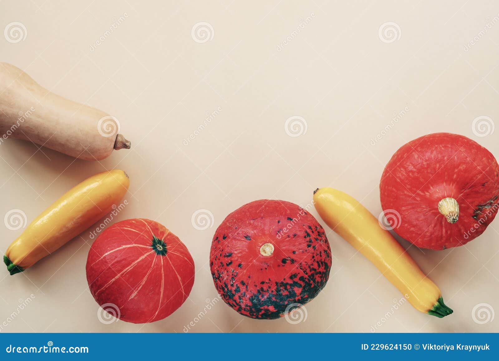 Different Types of Gourds on a Light Background with Copy Space. Top ...