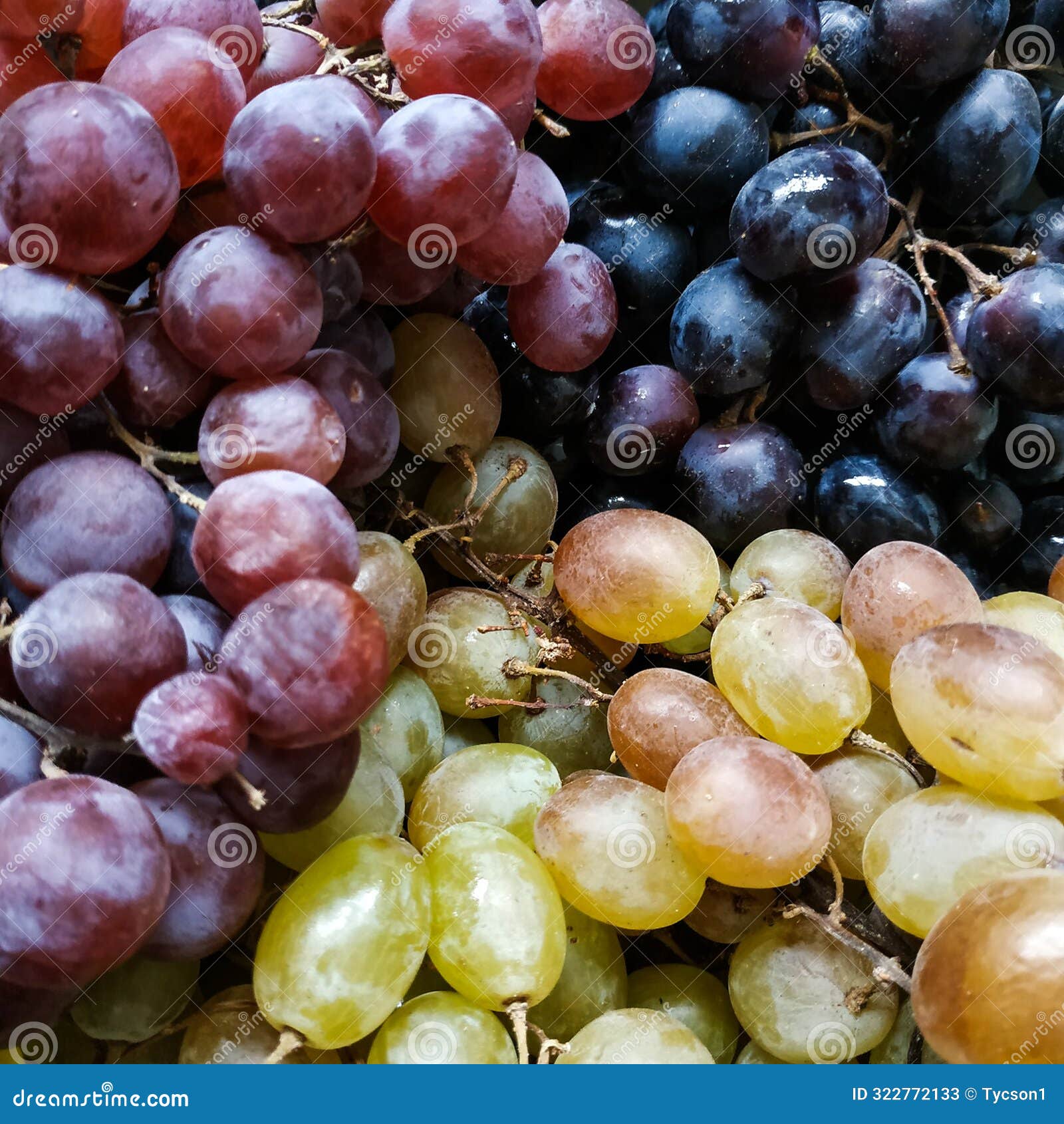 Different types of grapes stock image. Image of vine - 322772133