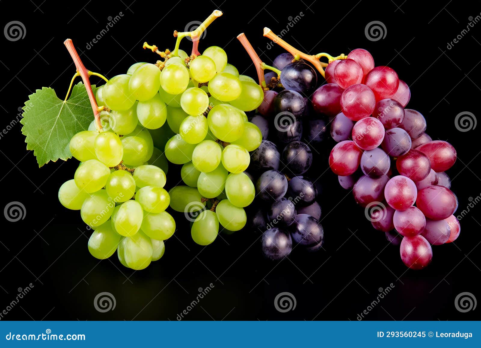 Different Types of Grapes Isolated on Black Background Stock ...