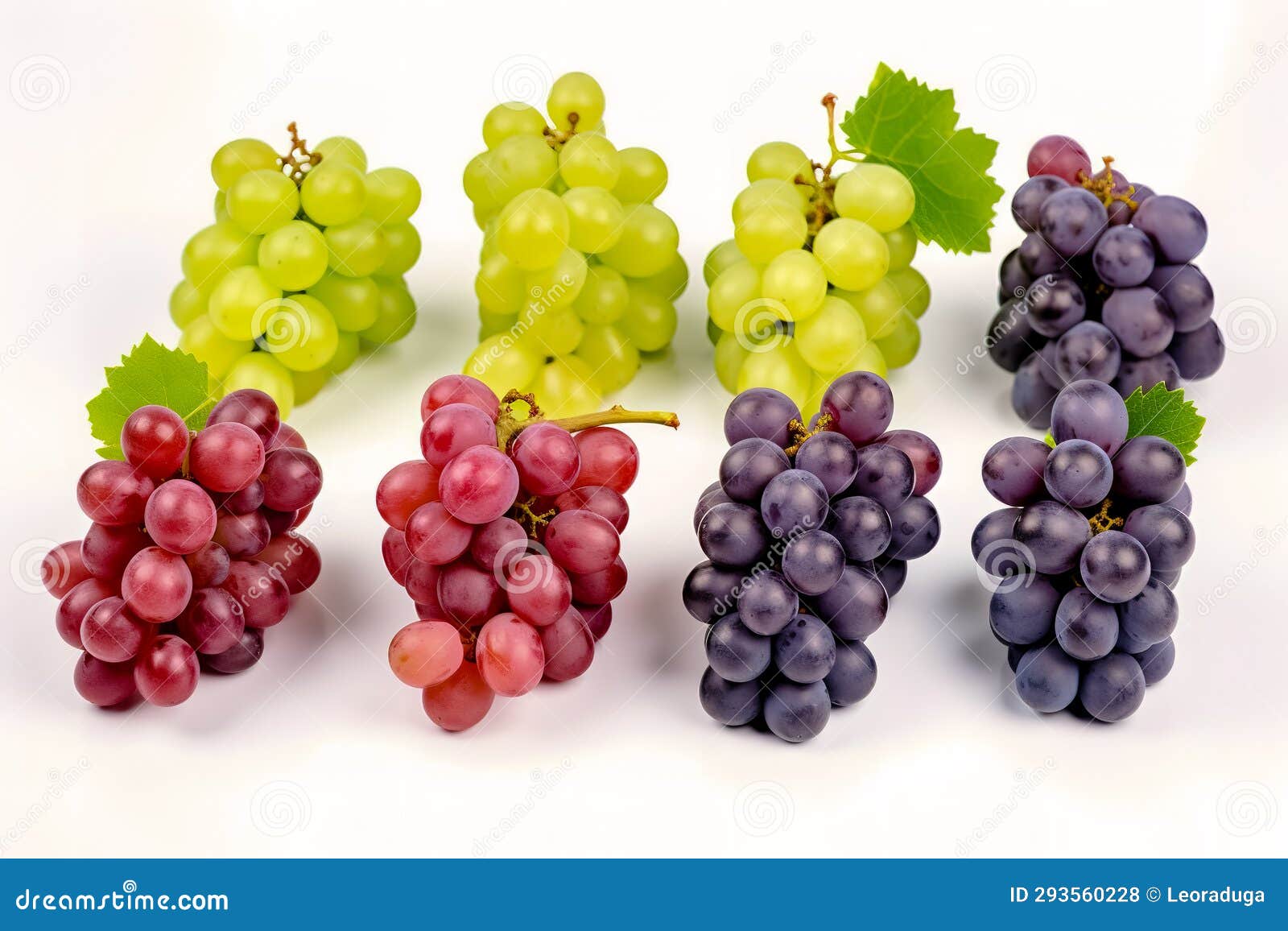 Different Types of Grapes Isolated on White Background Stock ...