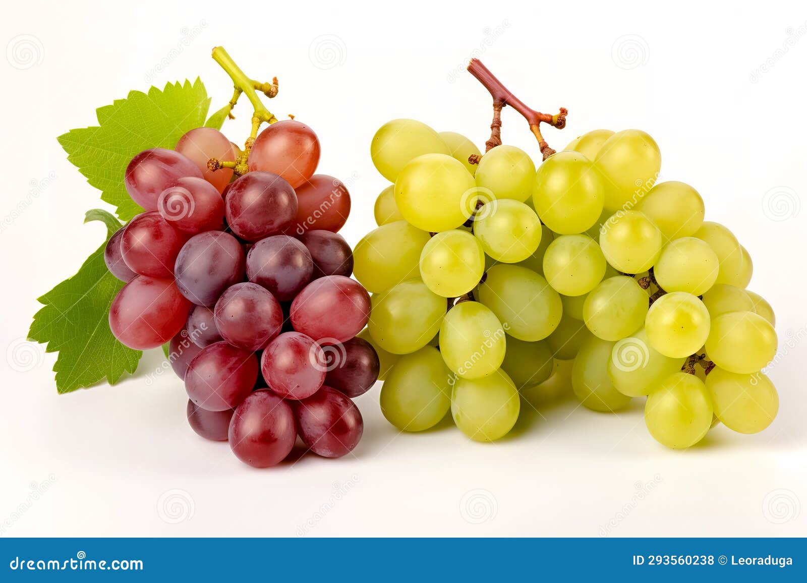 Different Types of Grapes Isolated on White Background Stock ...