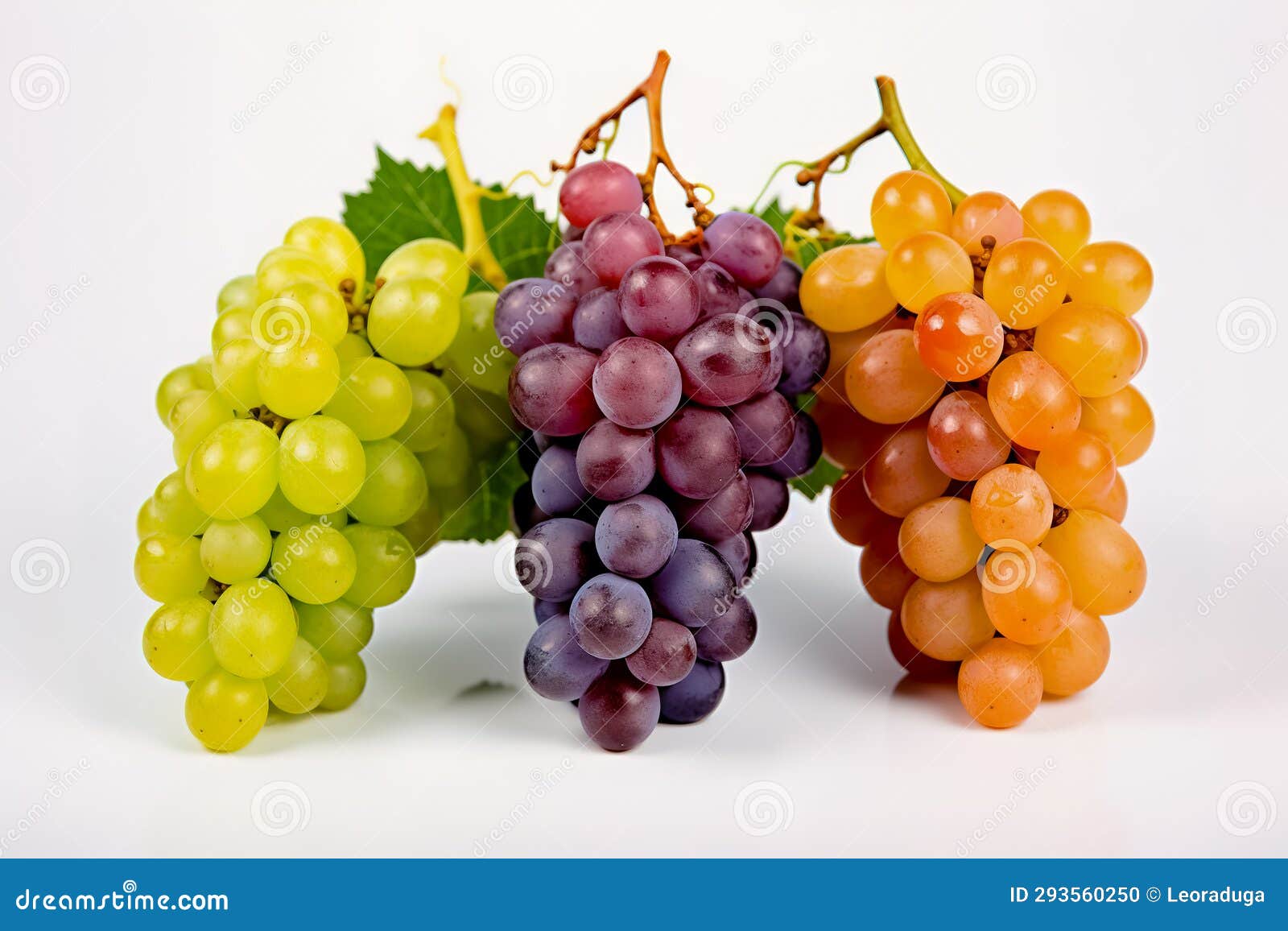 Different Types of Grapes Isolated on White Background Stock ...
